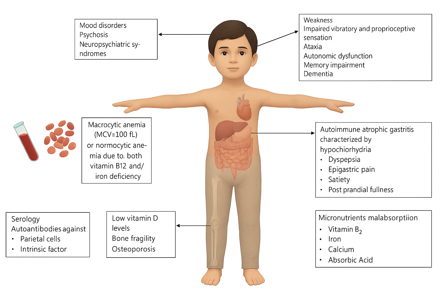 Exploring Pernicious Anemia: Signs, Causes, and Solutions